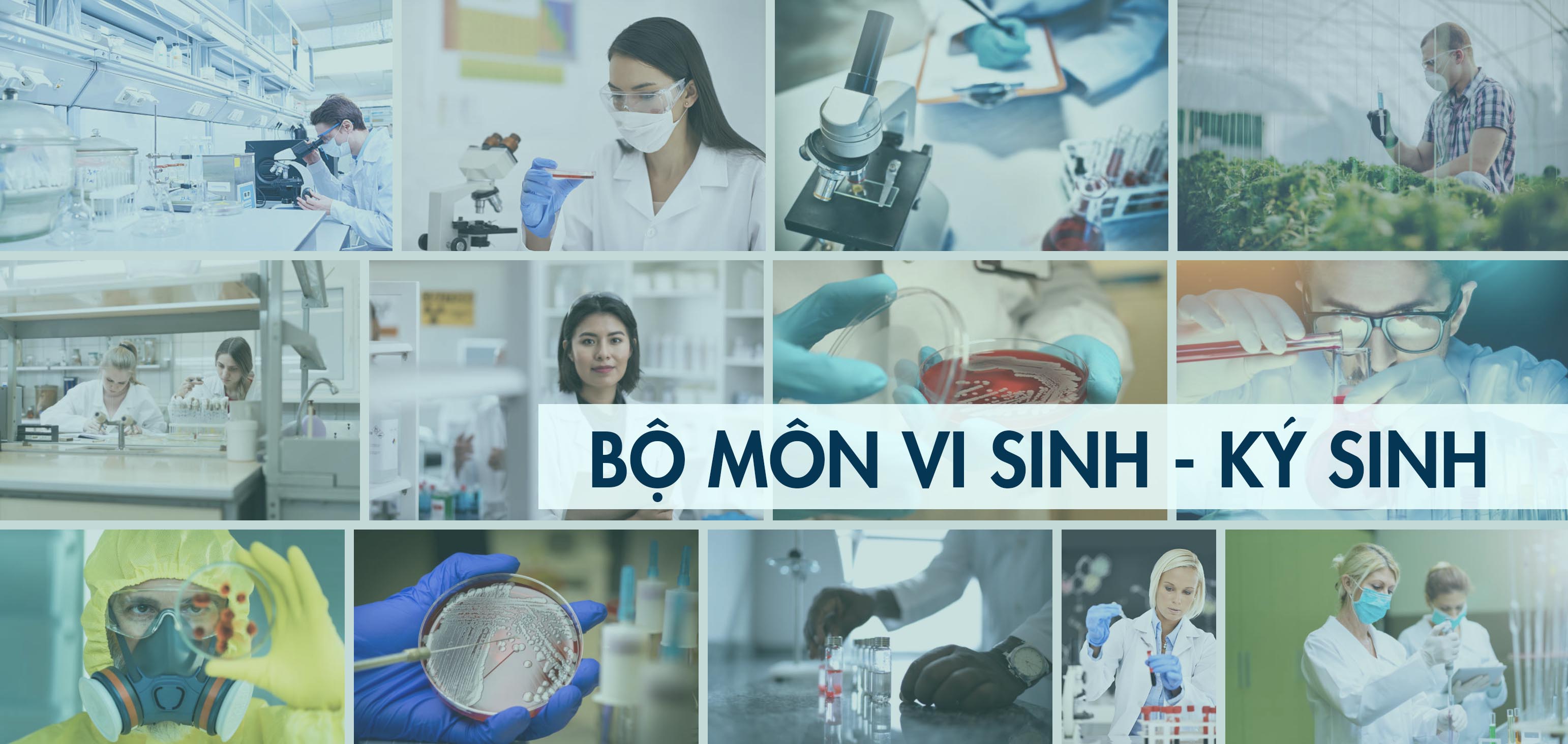 Đại học Y Dược Thành phố Hồ Chí Minh: Bộ môn Vi sinh - Ký sinh